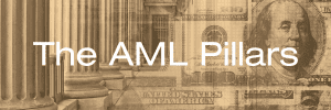 The Four (4) Pillars Of BSA/AML Compliance - Capital Compliance Experts ...